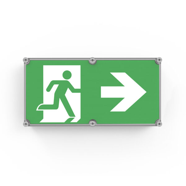 Boxit IP65 Professional - Ektor - Australia - Emergency Lighting